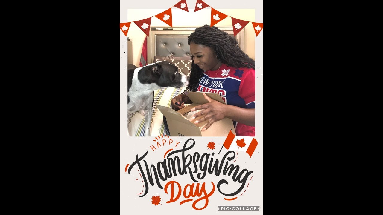 Unboxing BarkBox (November 2020) - HAPPY THANKSGIVING! #barkbox # ...
