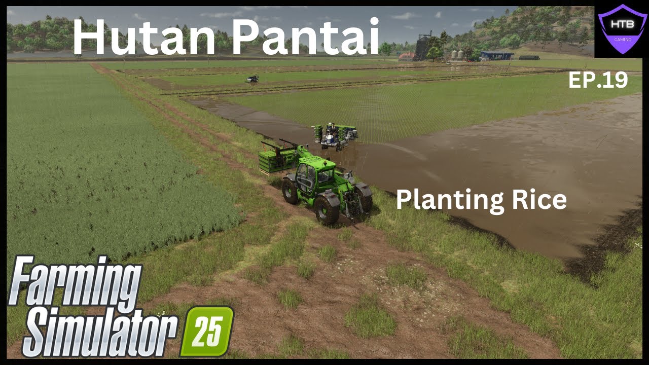 Planting Rice!! | Farming Simulator 25 - Hutan Pantai | Episode 19 ...