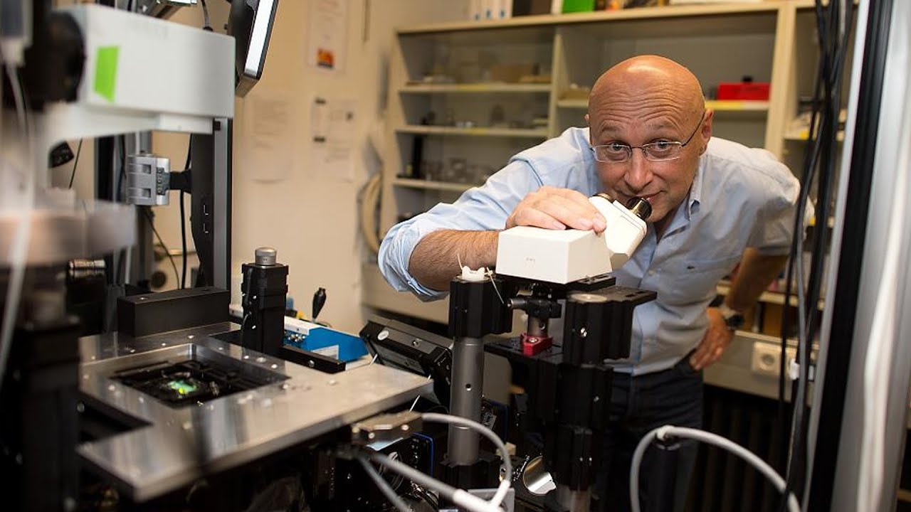 Nanoscientist Paul Weiss On Stefan Hell's Nobel-Winning Microscopy Work ...