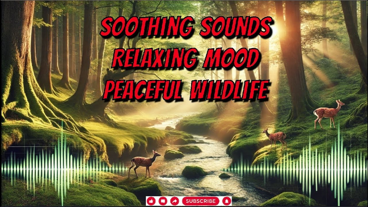 [4K]Wildlife Live Stream With Sound - YouTube