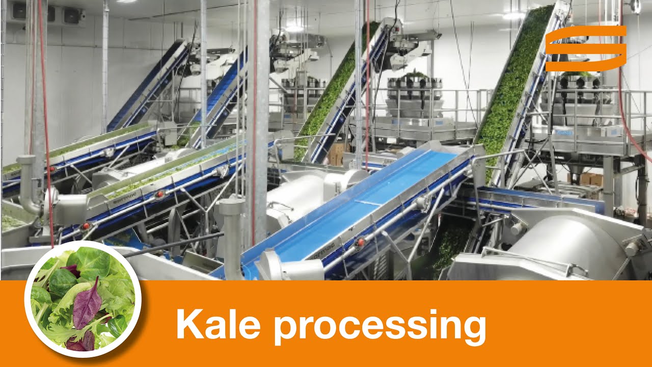 Kale processing line - Sormac - YouTube