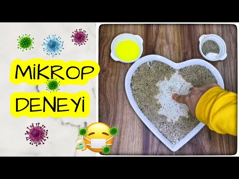 mikrop deneyi | karabiber deneyi | okul öncesi deney
