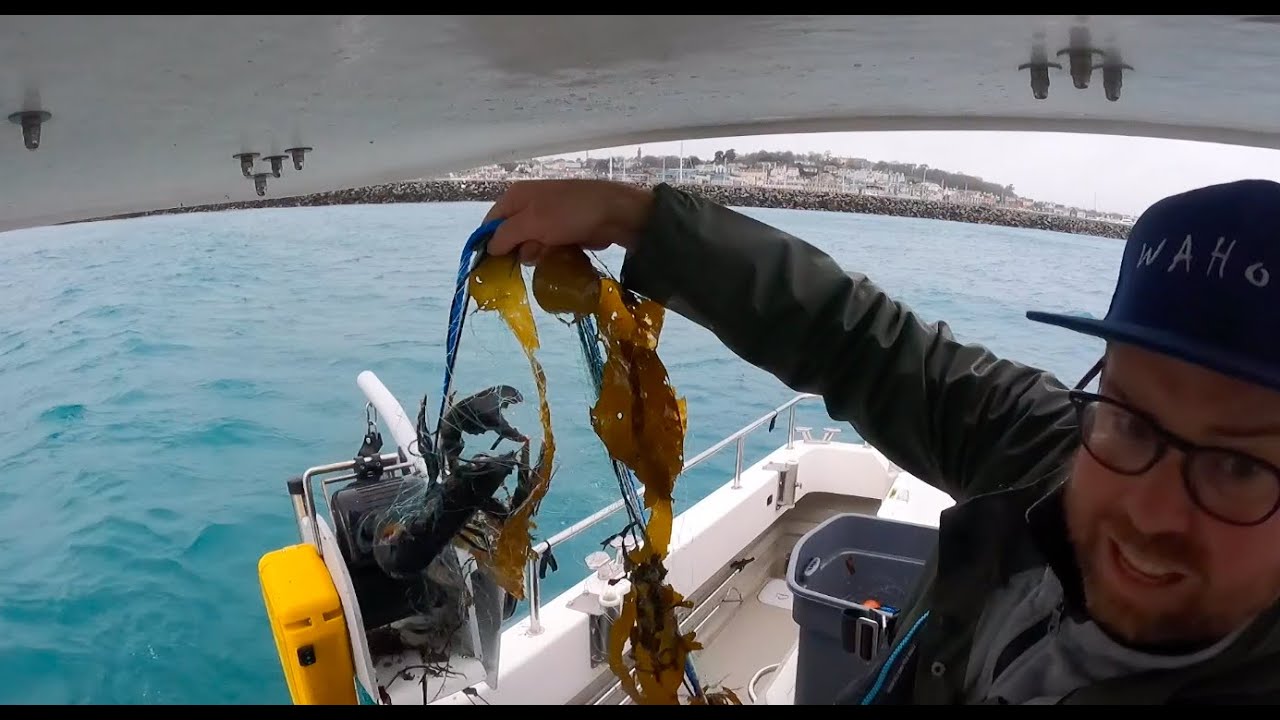 Commercial Fishing - Lobster in the Nets - YouTube