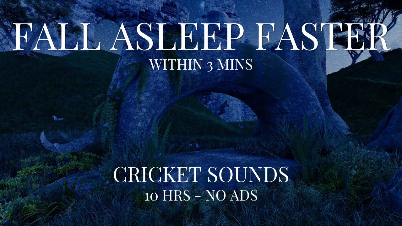 Cricket Sounds for Sleeping | 10 HOURS No Ads | Sleep and Relaxation ...