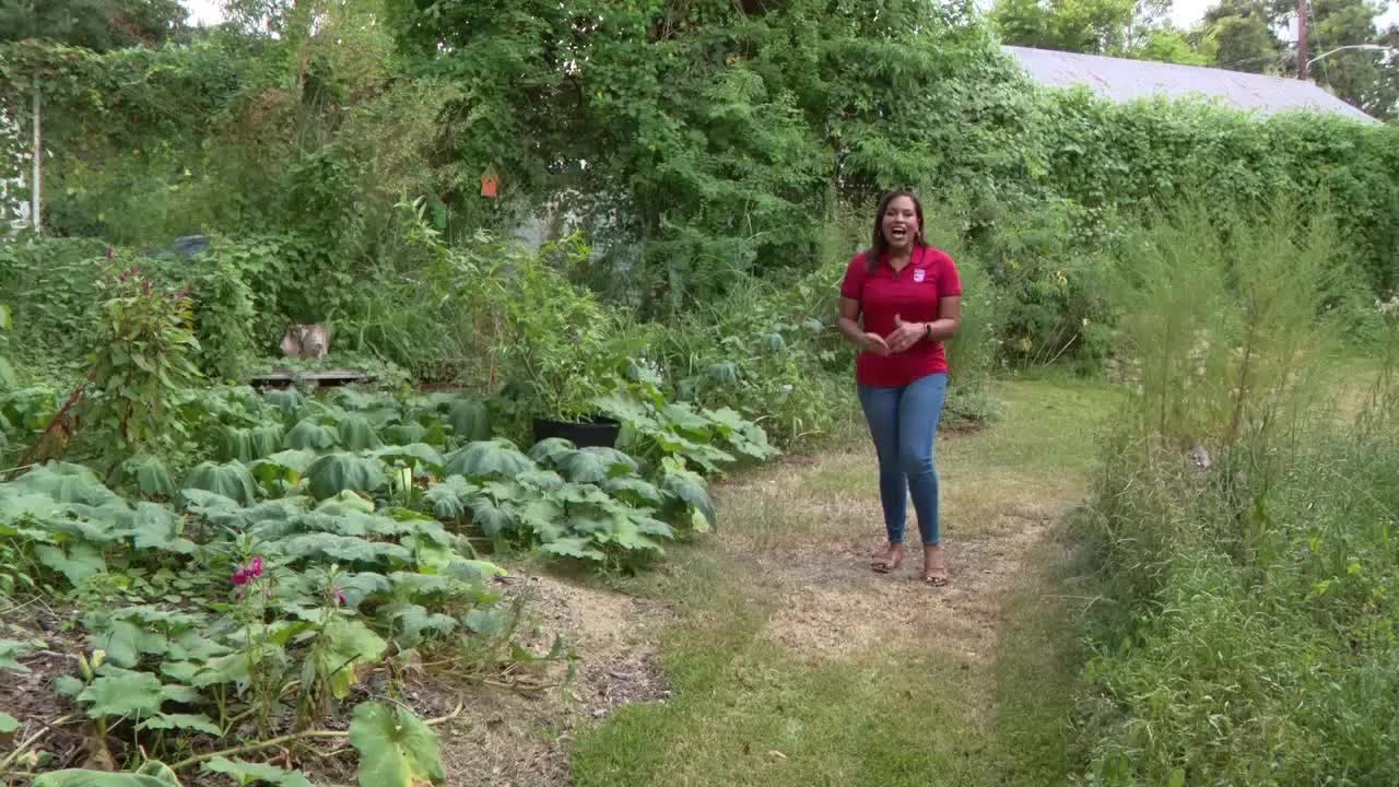 Backyard Growers - YouTube