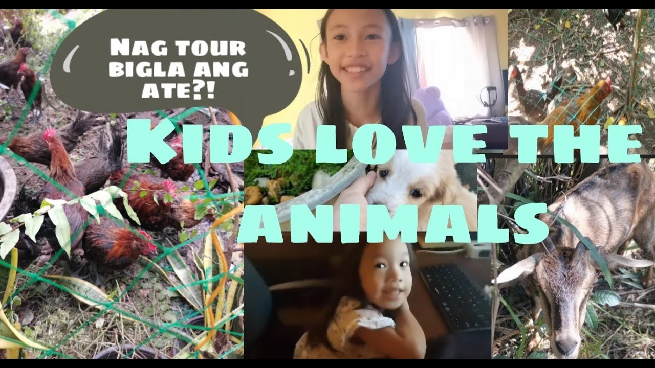 A DAY WITH ATE PRINCESS ll Nagvlog alone at Nag tour sa mga hayupan ll ...