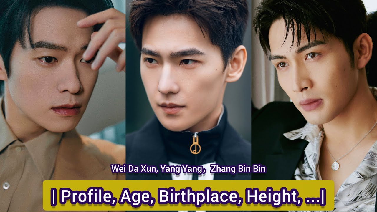 Yang Yang，Wei Da Xun，Zhang Bin Bin (Fireworks of My Heart) | Profile，Age，Birthplace，Height ...