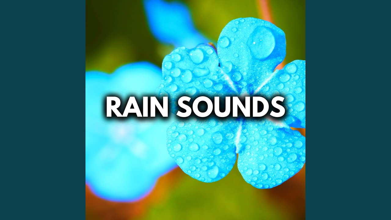 Heavy Rain Sounds For Sleeping (Loopable, No Fade Out) - YouTube