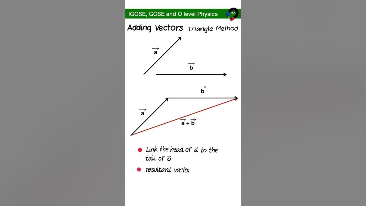 Adding two vectors | IGCSE, GCSE, O level Physics - YouTube