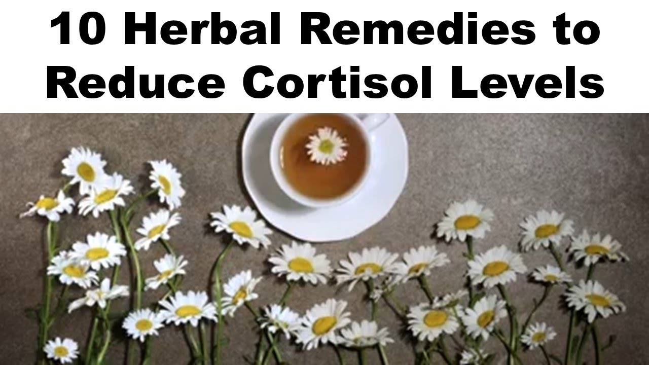 Top 10 Herbal Remedies to Reduce Cortisol Levels - YouTube