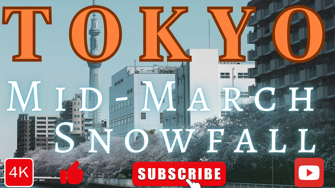 RARE Snowfall in Tokyo! Mid-March Blizzard Caught on Camera #tokyo # ...