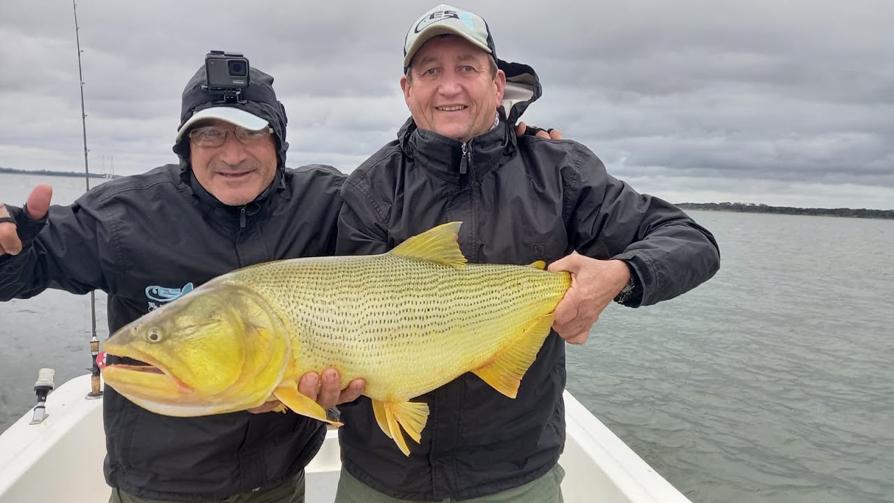 PESCA DE DORADOS EN PASO DE LA PATRIA, JUNTO A "SANTINO PESCA" - YouTube