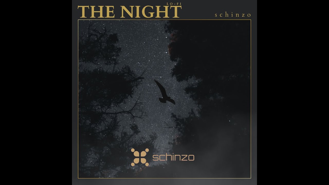 schinzo - (Because) The night (lo-fi chill) - YouTube