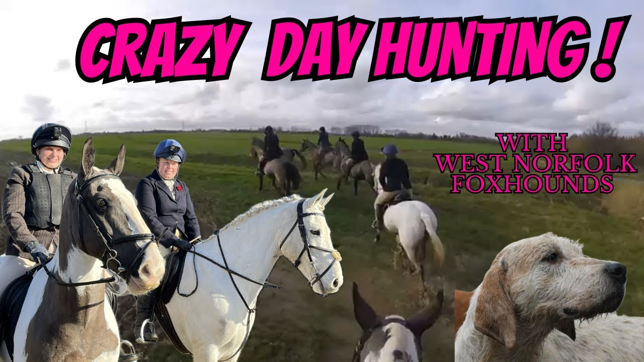 CRAZY HUNT MEET! COB & CONNY GO HUNTING- WILD RIDE WITH SABS IN NORFOLK ...