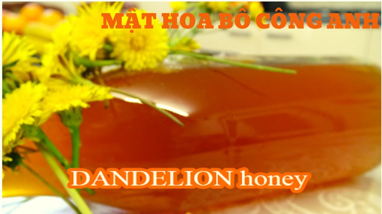 CÁCH NẤU MẬT HOA BỒ CÔNG ANH- HOW TO COOK DANDELION HONEY -CUỘC SỐNG ...