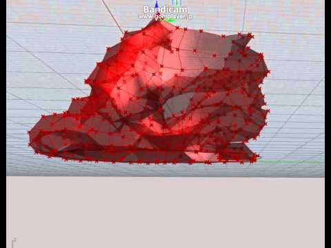 kangaroo grasshopper - YouTube