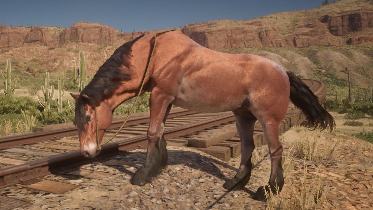 Red Dead Redemption 2 - Wild Bay Mustang - YouTube