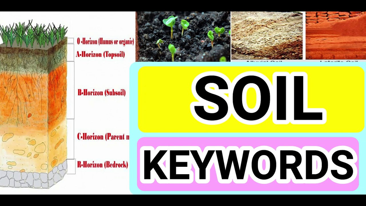 CLASS 7 SCIENCE CHAPTER 9 SOIL KEYWORDS YouTube class-7-science-chapter-9-soil-keywords-youtube