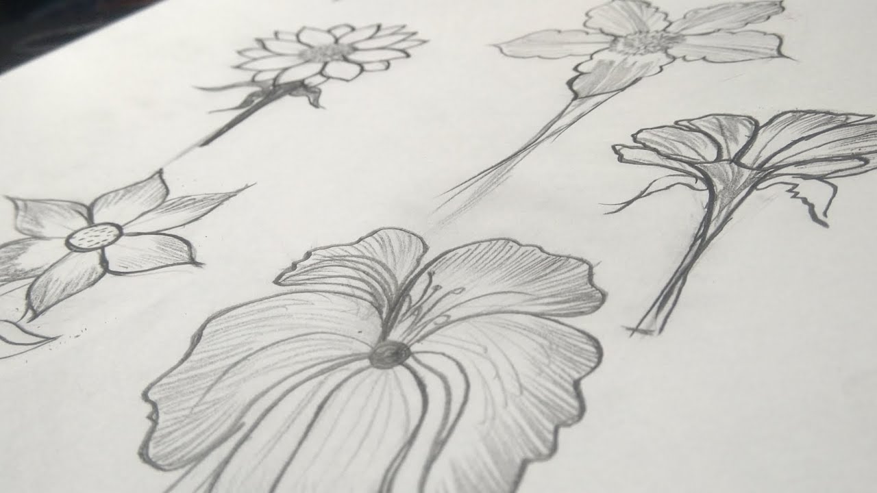 day:8#drawingclass#🌻🌹🌸different type of flowers#easyway flower drowing# ...