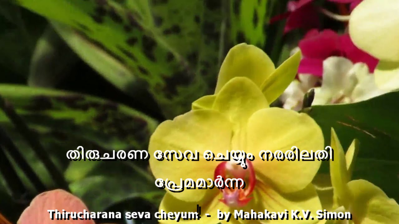 Mahakavi K.V. Simon |ThiruCharanaSeva Cheyyum തിരുചരണ സേവ |Malayalam ...