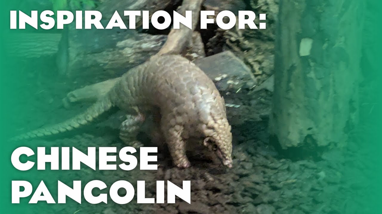 A Real Life Chinese Pangolin Habitat! (Planet Zoo Inspiration) - YouTube
