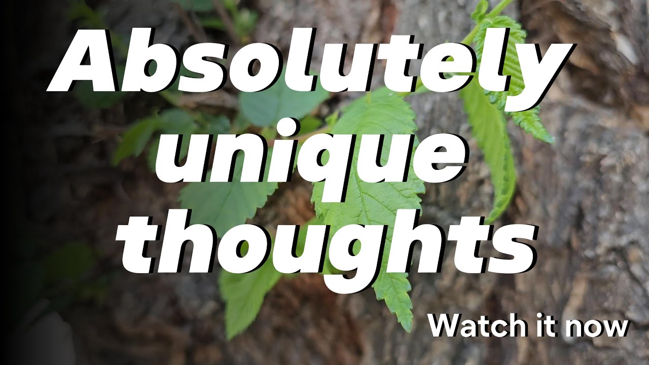 Absolutely unique thoughts - YouTube