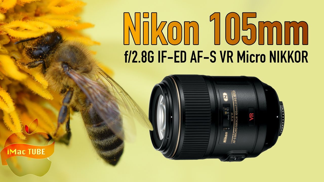 Testing my new Nikon 105mm f/2.8G - 4K macro photography - YouTube