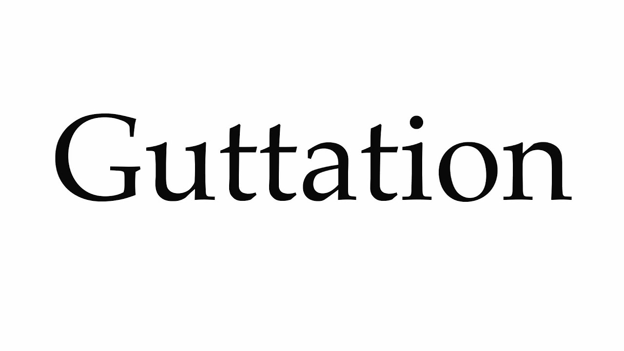 How to Pronounce Guttation - YouTube