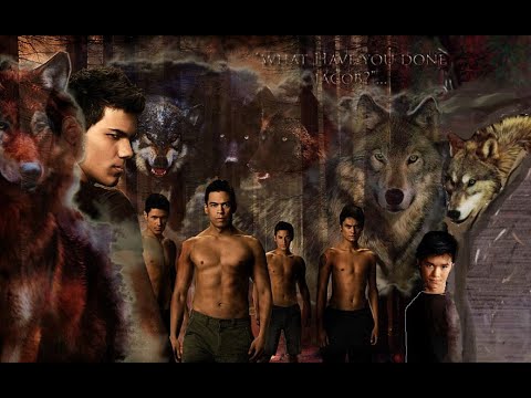 Shell Shocked - Twilight Wolves