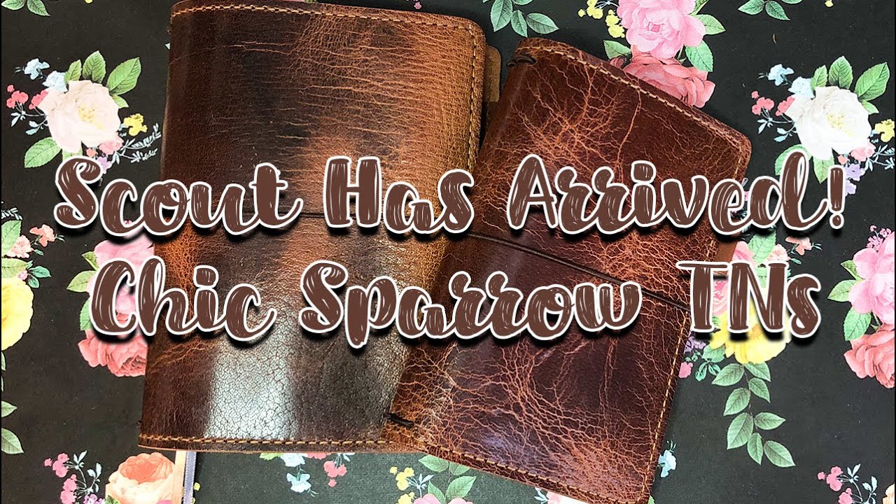 Scout is Here! Chic Sparrow Travelers Notebooks - YouTube