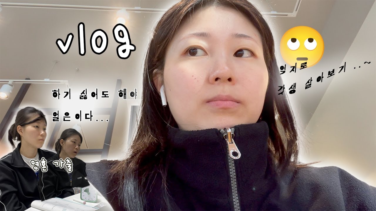 Vlog 하기싫어도 하는 것 그것이 바로 얼은이니까 억지로 갓생사는 직장인 일상 샐러드 야채털이 비빔밥 해먹기 동생이랑 더현대 브런치 갈비 생맥