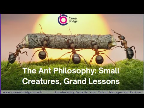 The Philosophy of Ant - YouTube