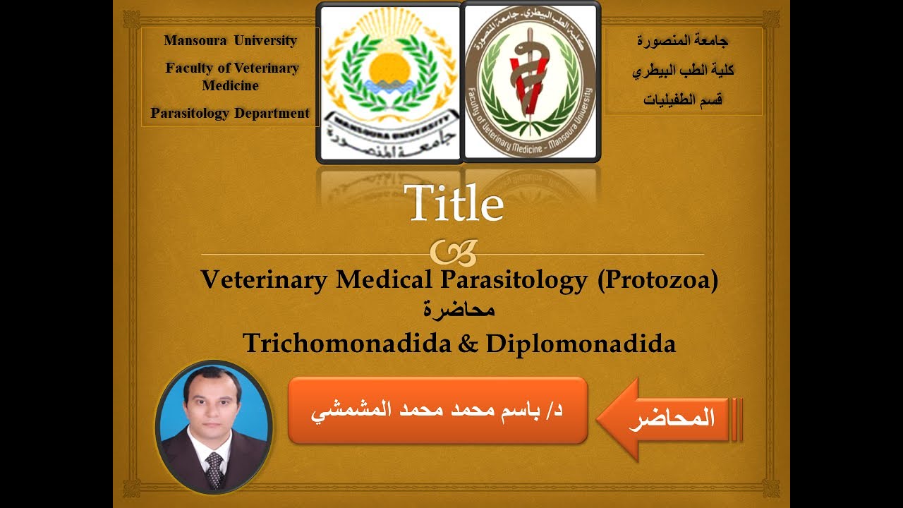 2- Protozoa "Trichomonadida and Diplomonadida" Dr Bassem Elmishmishy ...