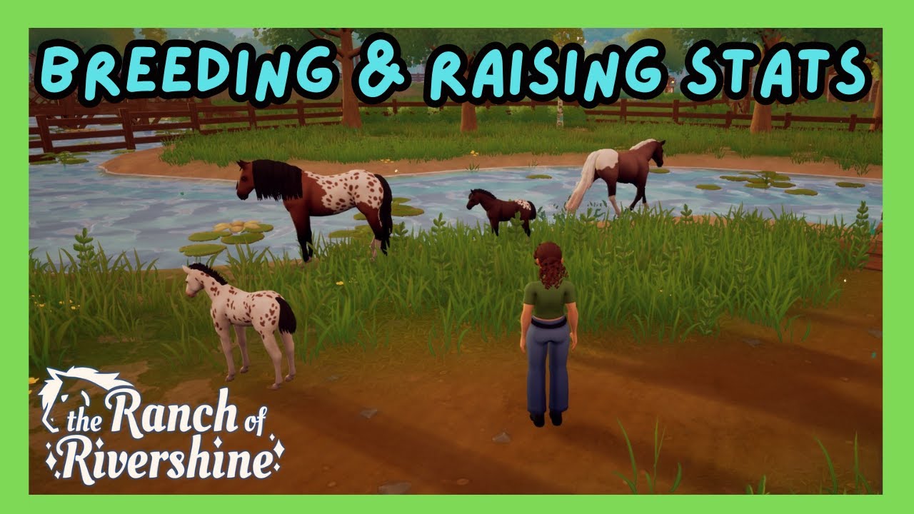Learn How to Make Money by Breeding and Raising Stats! |Ranch of ...