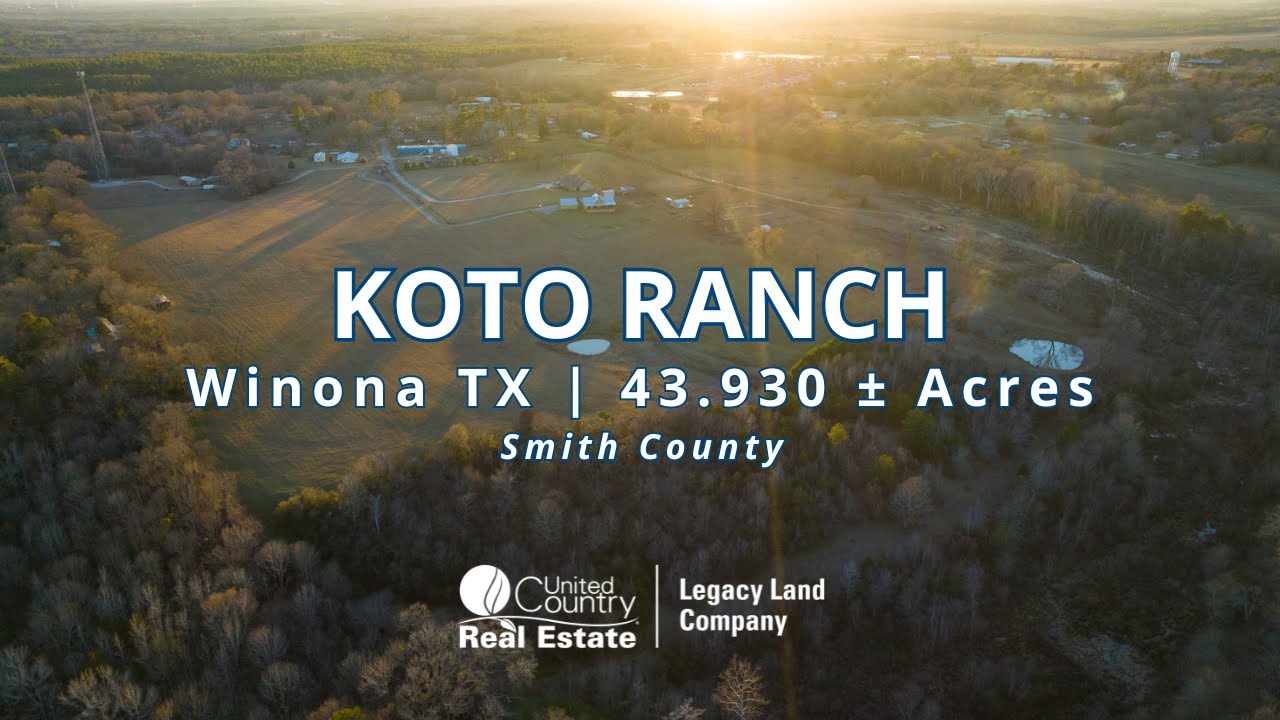 Invest in Texas Cattle or Horse Ranch for Sale in Winona TX - YouTube