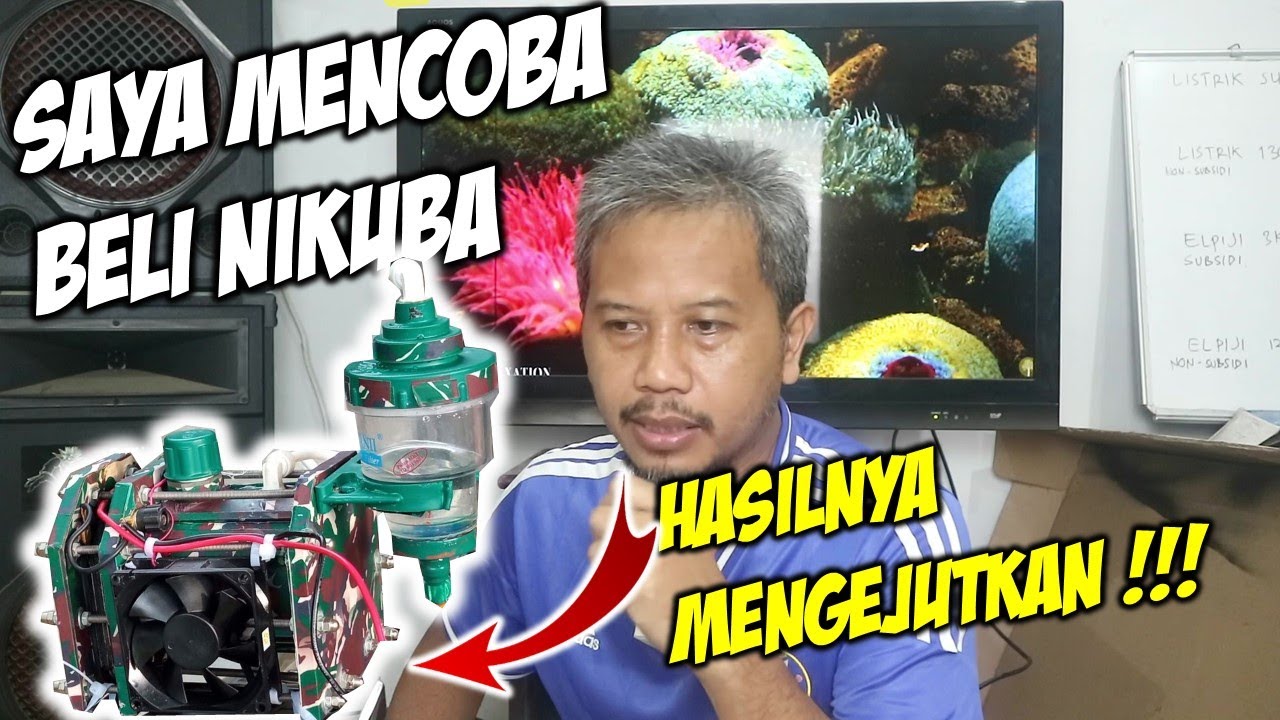 Nikuba mengubah air menjadi bahan bakar: bagaimana nasibnya sekarang ...