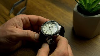 Another Beauty From Thailand Wise Ad8 Full Lume Limited Edition Watch ...