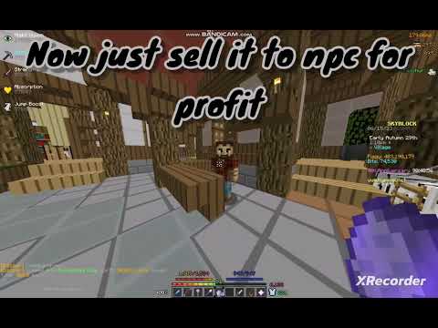Hypixel Skyblock easy and efficient bazaar flip - YouTube