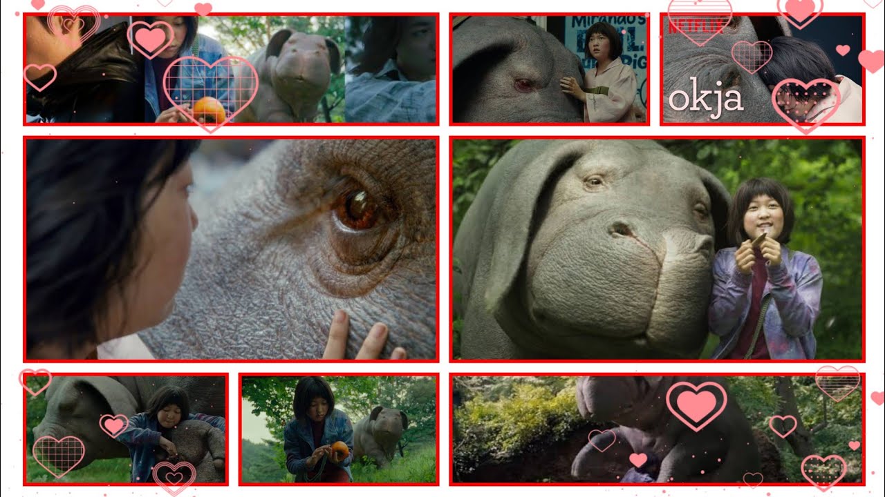 Okja (2017) Film Explained in Hindi/ | Okja Super Pig Summarized ...