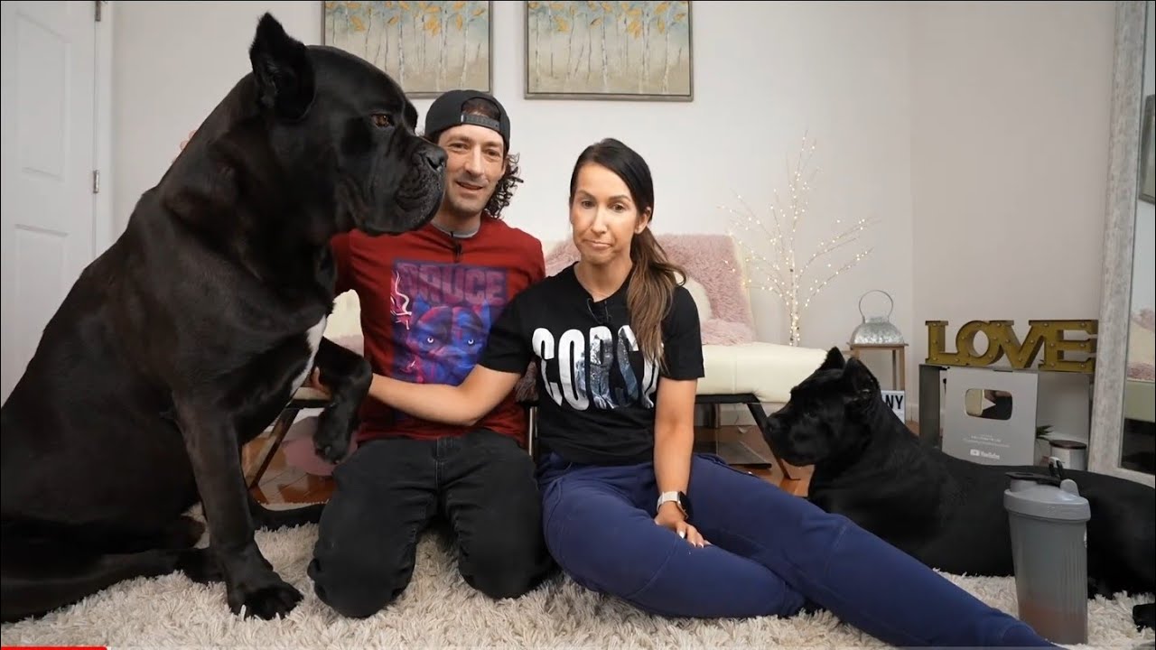 Jason Corey LIVE My Fam vs Your Fam - In The Doghouse LIVE - YouTube