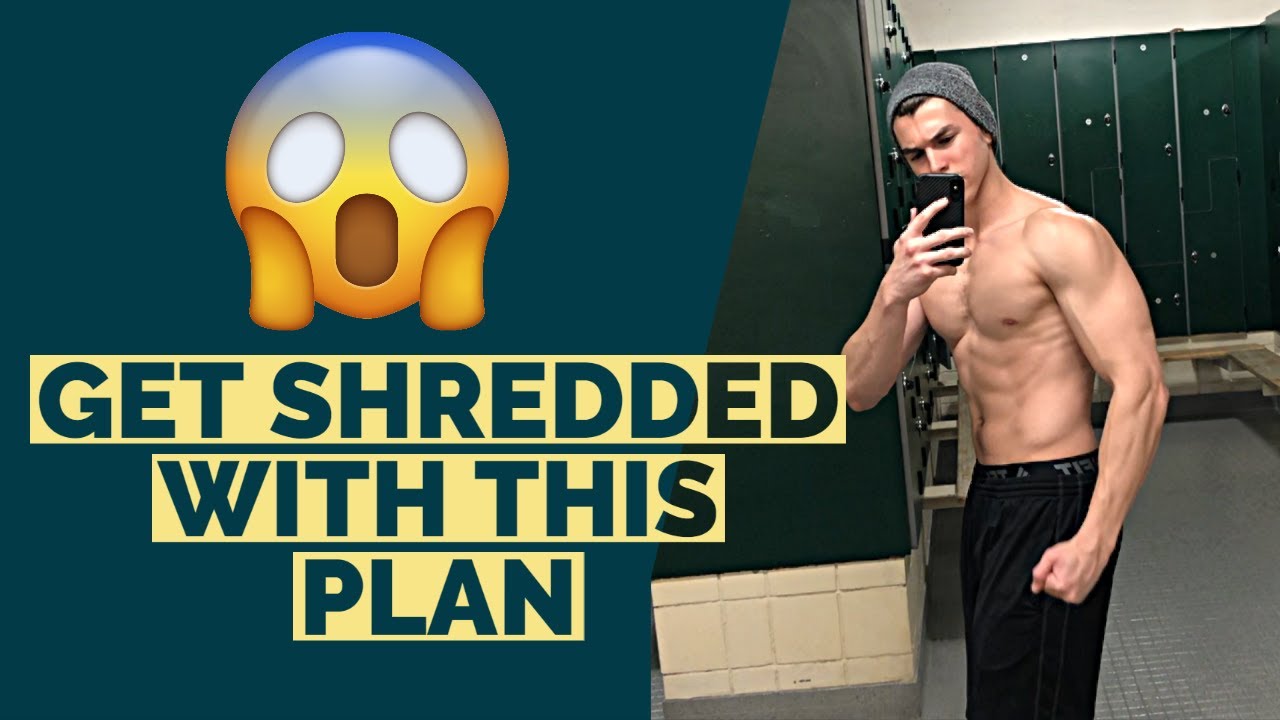 FREE FITNESS PLAN TO GET SHREDDED | How to Use My Nutrition and Fitness ...
