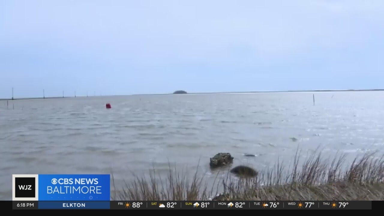 Maryland, several states have not met goal of cleaning Chesapeake Bay ...