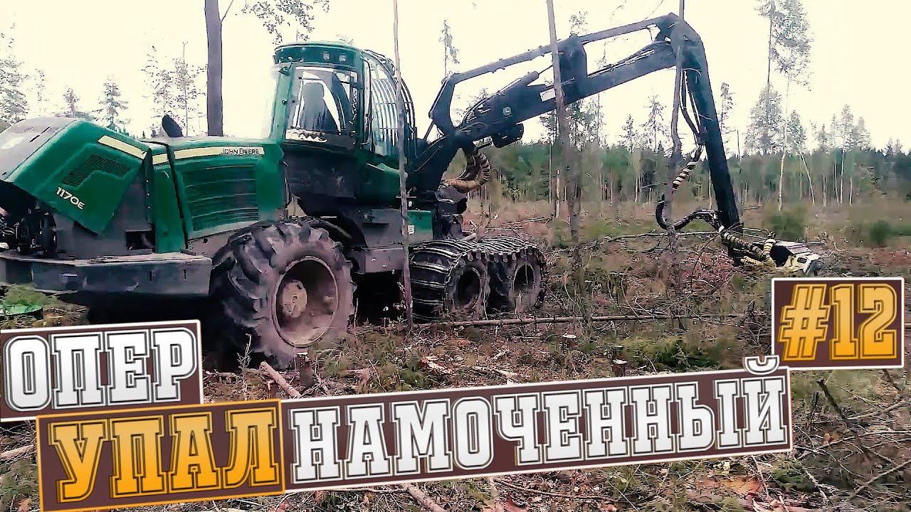 ОперУпалНамоченный. 12 серия | Logging in Russia - YouTube