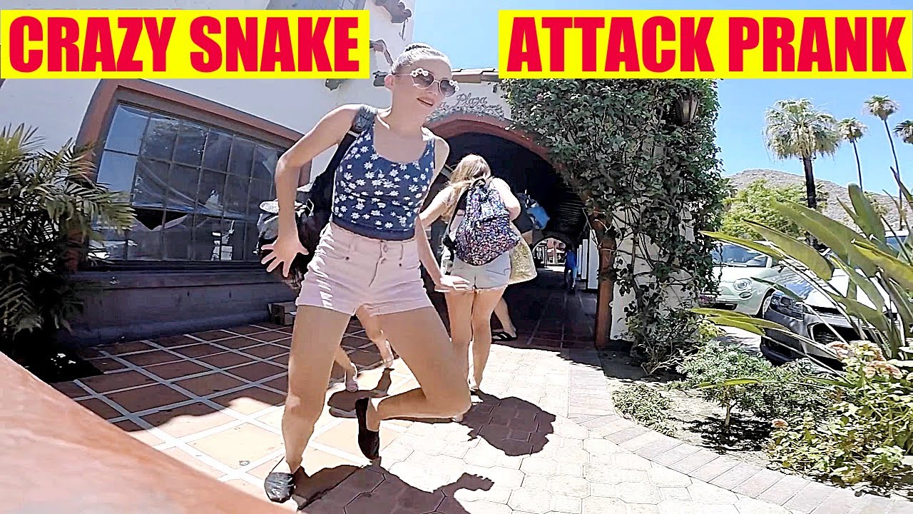 CRAZY SNAKE ATTACK PRANK!! - YouTube