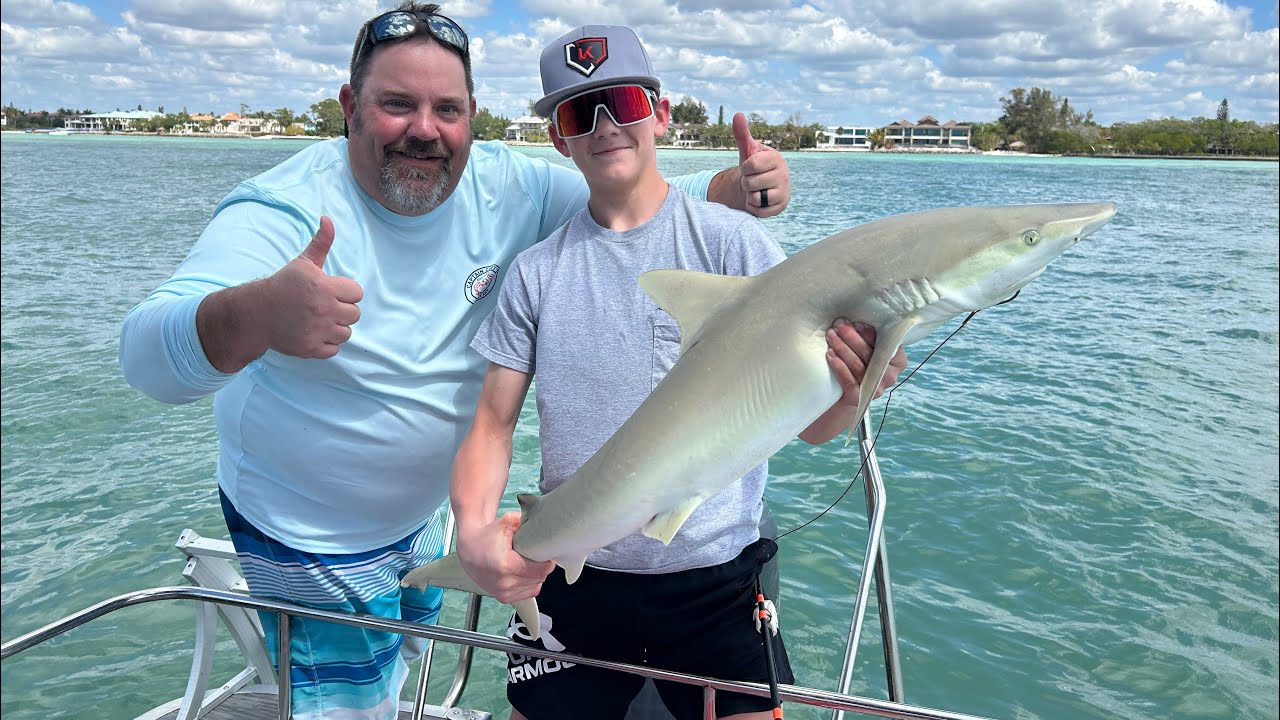 Siesta Key Florida BLACK TIP SHARK ON CATFISH POLE?!?! - YouTube