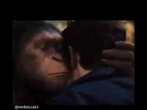 Yetim wirvannansan?)