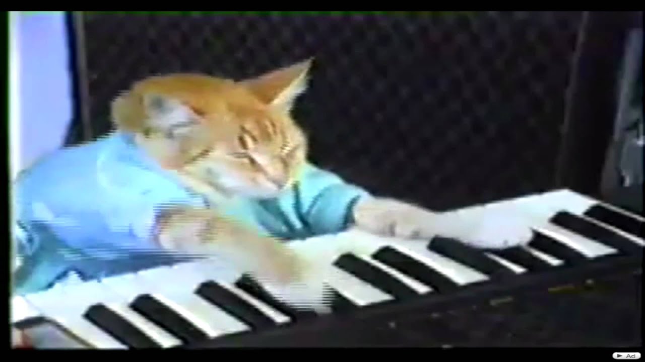 Keyboard Cat YouTube keyboard-cat-youtube
