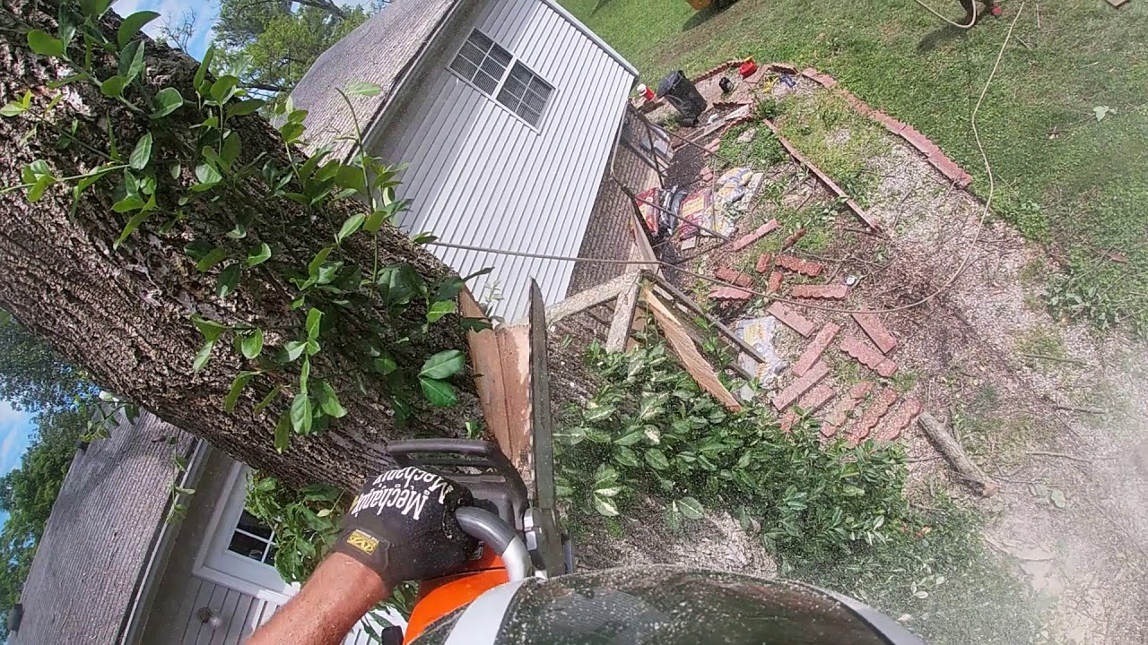 DYING ASH AND MONKEY BEAVER SPEEDLINE KIT - YouTube