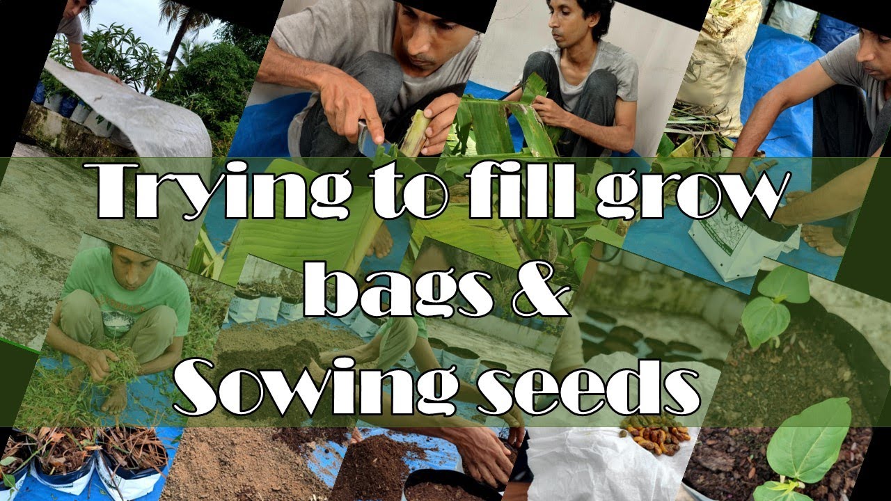 Trying to Fill Grow Bags & Sowing Seeds | not a good method 👎 # ...