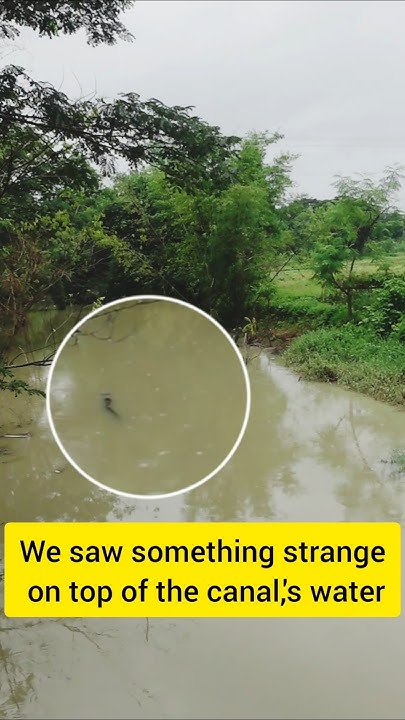 Strange Sighting On Water: The Unexplained Phenomenon - YouTube